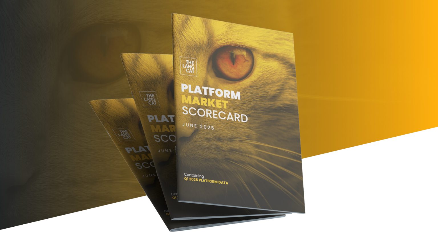 Q1 2025 Platform market scorecard - The Lang Cat
